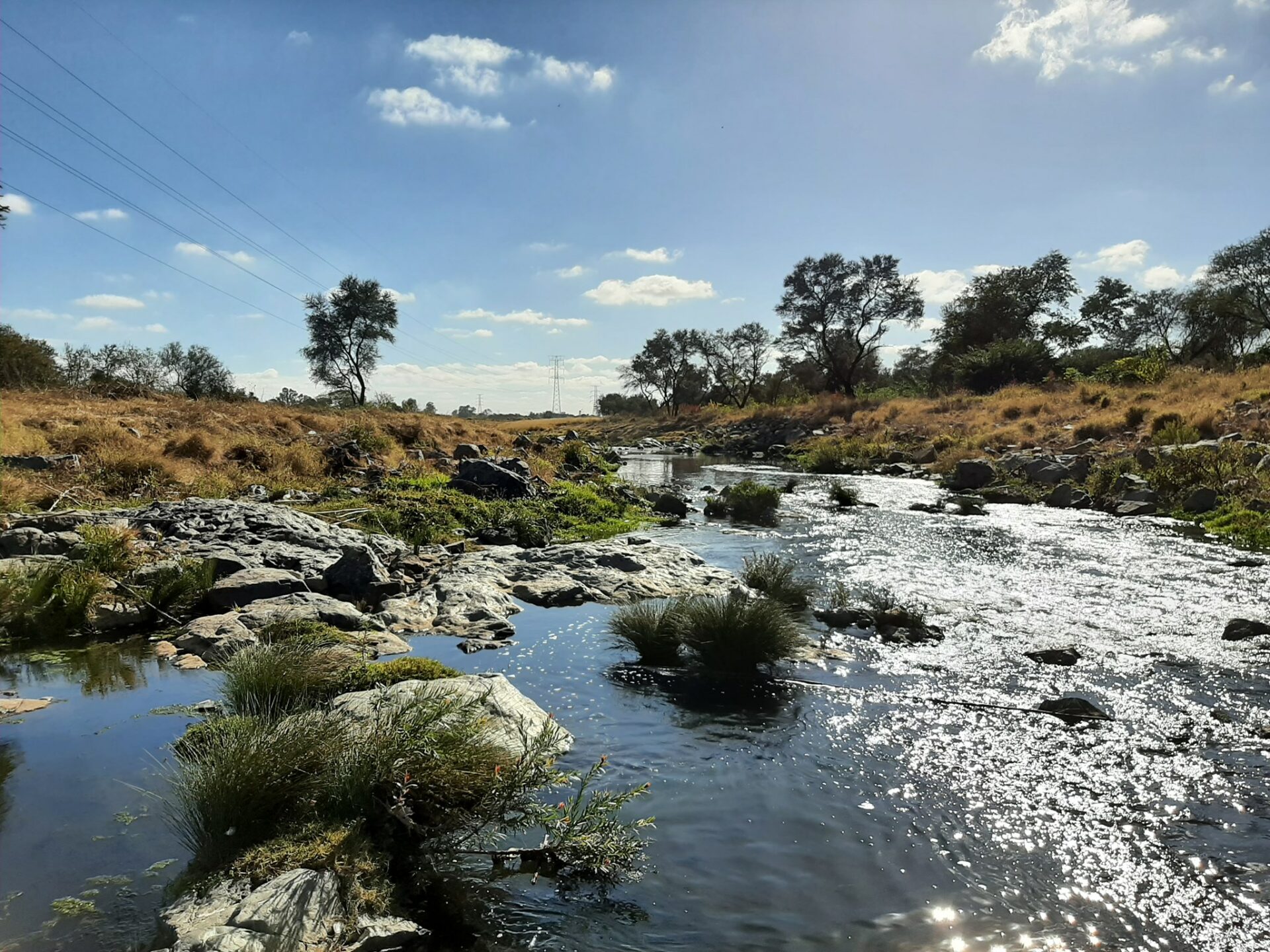 Apies River Embankment and Rehabilitation - Civil Concepts